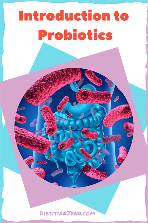 Introduction To Probiotics ⋆ Dietitian Jenn ⋆ Health And Nutrition