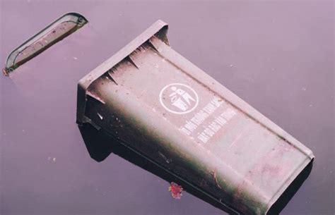 Trash Challenge El Reto Viral Para Limpiar Las Calles Y Playas Del