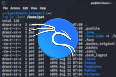 Disk Partitioning On Kali Linux A Beginners Guide Infosecscout