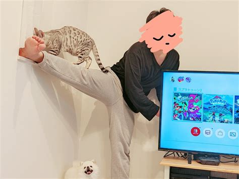 情報量の多い画像ここに極まれりテレビを直しながら猫を誘導する夫の姿に13万いいねの大反響 Cat Pressキャットプレス