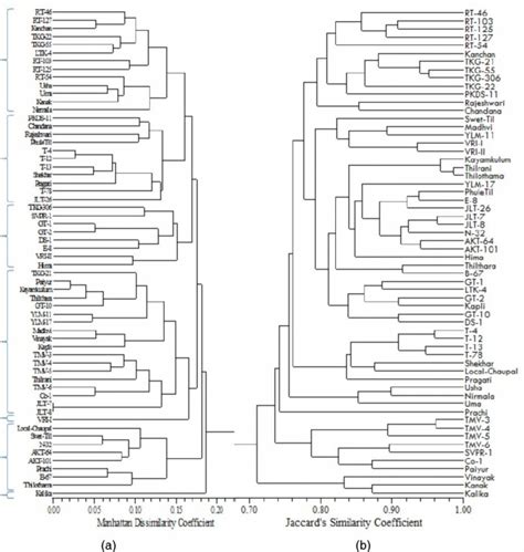 dendrogram derived from upgma cluster analysis using a euclidean download scientific diagram