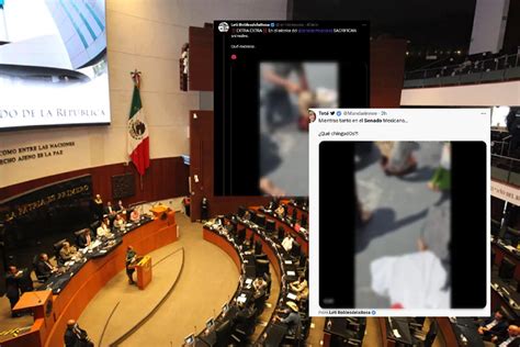Sacrificio de gallina en Senado Mexicano provoca polémica