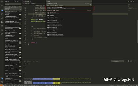 vscode安装方法及常用插件安装 知乎