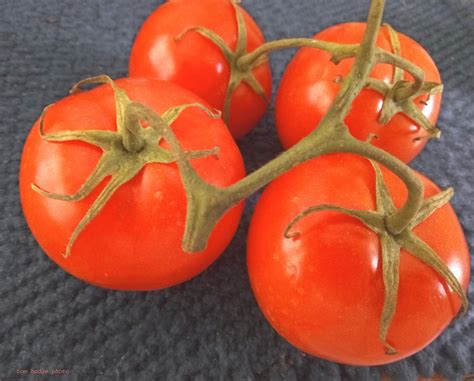 Solve Jigidi Tomatoes Jigsaw Puzzle Online With Pieces