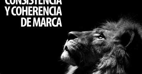 Consistencia de marca qué es y cómo construir una marca fuerte y