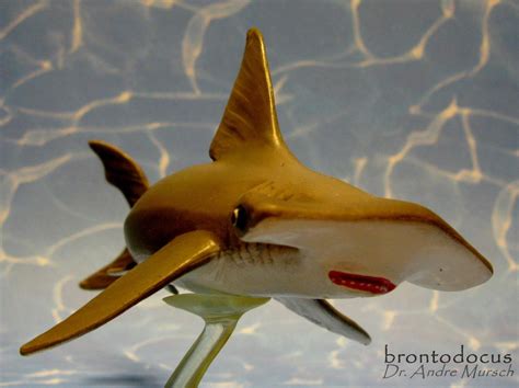 Baby Hammerhead Shark Safari Ltd Incredible Creatures