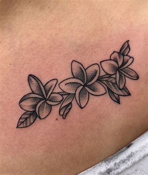 Images Of Plumeria Flower Tattoos Best Flower Site