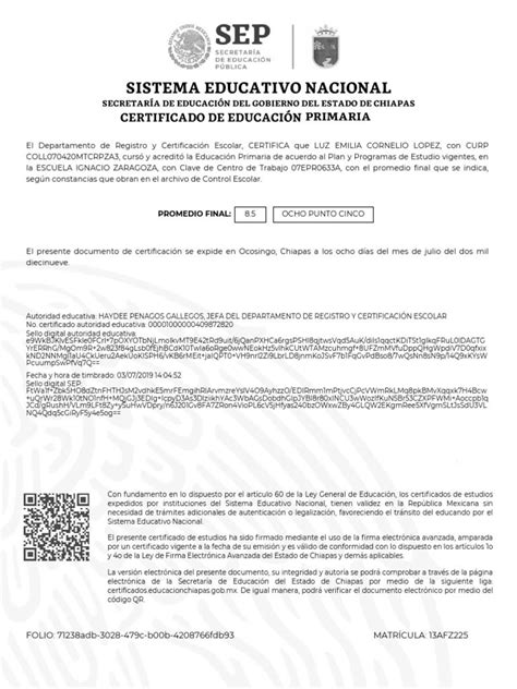 Certificado PDF Educación avanzada Informática y tecnología de la