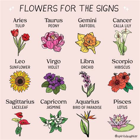 What Is An Aquarius Favorite Flower At Connie Graham Blog