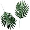 Amazon de Comius Sharp Künstliche Cycas Blätter 12 Stück Tropische