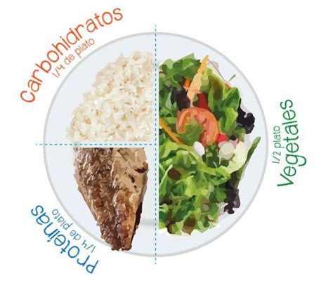 Qué es el plato de Harvard o Plato saludable