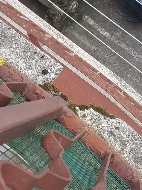Cornicione Balcone Aggettante