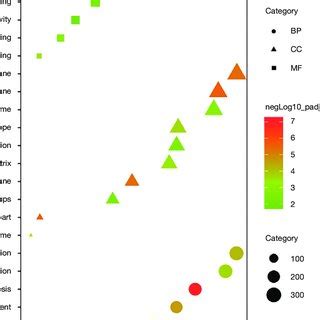 Gene Ontology Go Enrichment Analysis Of Degs Between Shee P And P