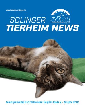Fillable Online Hunde Und Katzen Im Tierheim In Lindern Tierheim In