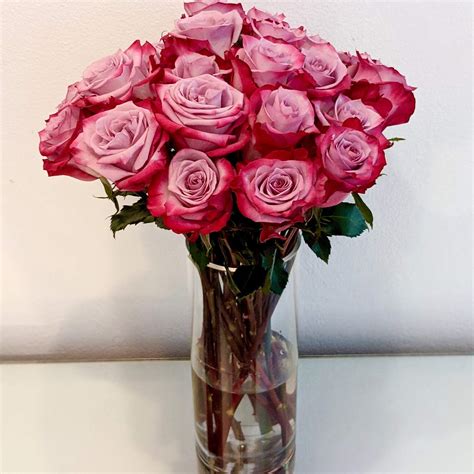 Details 100 Picture Ramo Rosas Moradas Abzlocal Mx