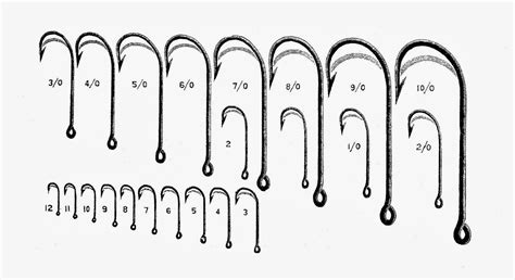 Fish Hook Sizes Chart Fishing Hooks 101 Parts Sizes Types And More