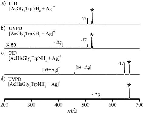 Fragmentation Spectra Obtained After Collisional Activation CID And