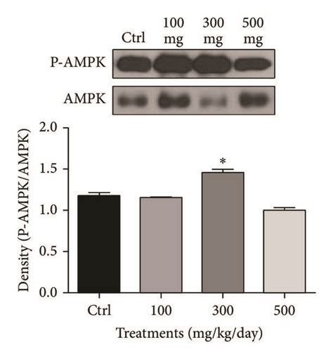 The Protein Levels Of Peroxisome Proliferator Activated Receptor Delta