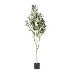 Stylewell Ft Indoor Artificial Olive Tree The Home Depot