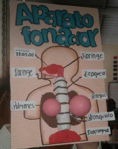 Aparato Fonador Manualidades Manualidades Creativas Aparato Fonador