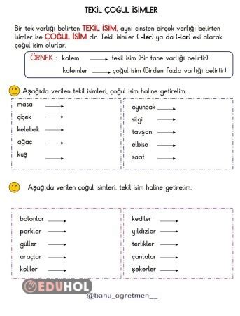 Tekil Çoğul İsimler Eduhol Etkinlik İndir Oyun Oyna Test Çöz Video