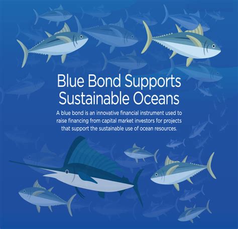 Seychelles Launched Blue Bonds What Are Blue Bonds FAQs