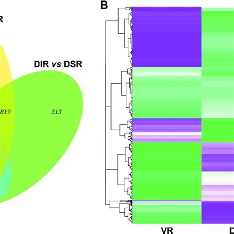 Transcriptome Changes In Fuji Apple Grafted On Three Different