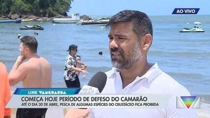 Per Odo De Defeso Do Camar O Come A No Litoral Veja Quais Esp Cies