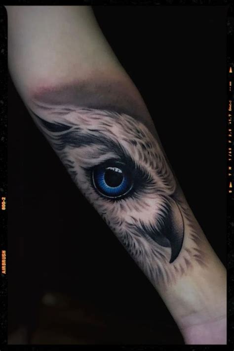 Pin By Casey Melton On Tattoo In 2024 Owl Feather Tattoos Owl Eye