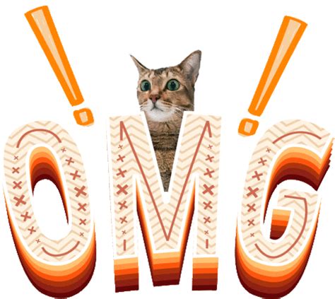 Oh My God Omg Sticker
