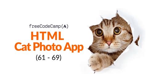 Freecodecamp Walkthrough Learn Html By Building A Cat Photo App