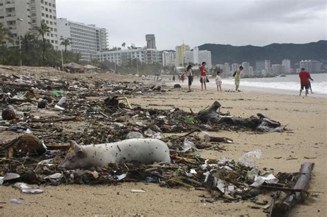 30 Impactantes Fotos De Los Desastres En Acapulco Y Veracruz Reporte