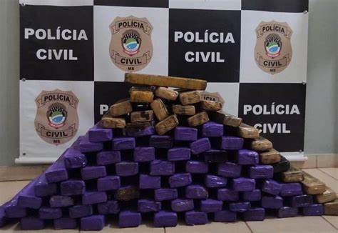 ROTA DO TRÁFICO Polícia Civil apreende meia tonelada de super maconha