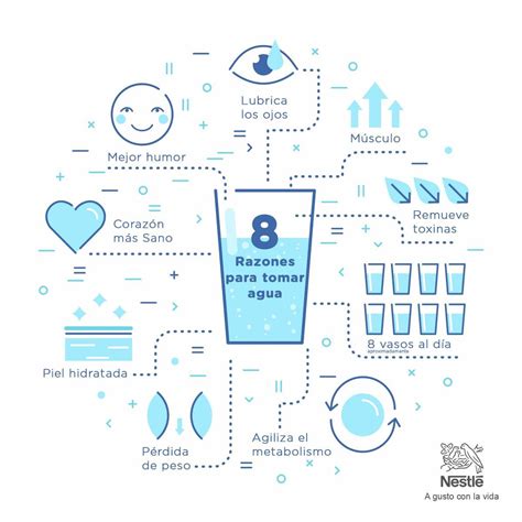 Mediador Espiritual Puramente Cuantos Vasos De Agua Debo Tomar