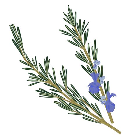 Rosemary Roundglass Living