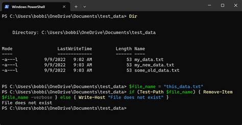 powershell how to delete file if it exists collecting wisdom