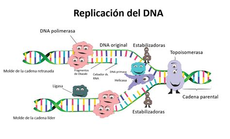 Replicación genética molecular Alianza B UNAM CCH ENP ante la