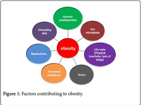 What Causes Obesity The Main Factors The Major Causes And