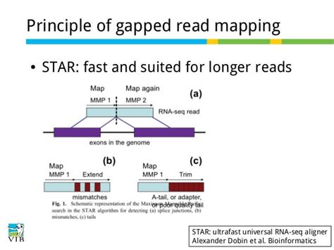 star rna seq aligner