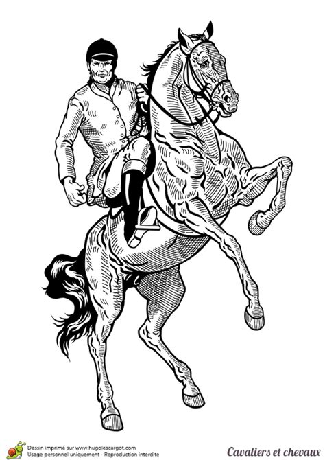 Cheval Qui Se Cabre Dessin