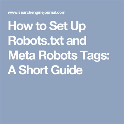 How To Set Up Robots Txt And Meta Robots Tags A Short Guide Meta