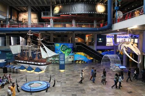 TripAdvisor Ingresso de entrada para o Museu de Ciências e Tecnologia