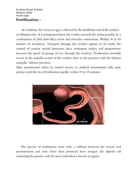 pdf fertilization