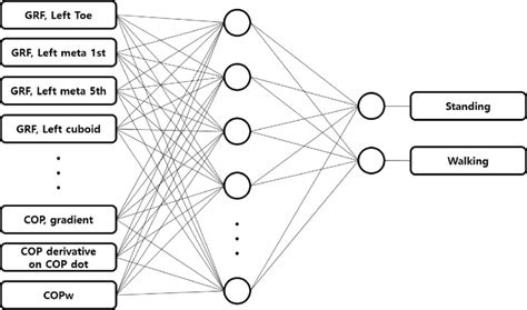 diagram of the developed artificial neural network ann model download scientific diagram