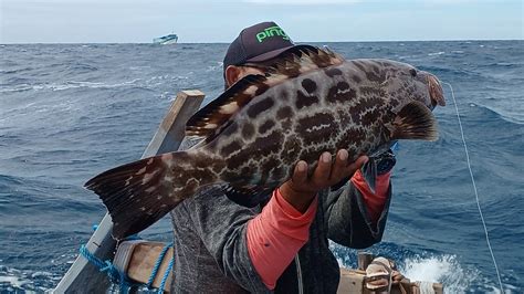 EMPRESIONANTE ESSA PESCARIA SO TINHA PEIXE GRANDES E BRUTO