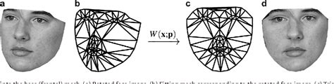 figure 1 from fully automatic face normalization and single sample face recognition in