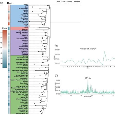 A Phylogenetic Tree Of 69 Cattle Breeds Clusters Are Coloured By