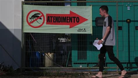 Mortes por dengue no Brasil já superam total dos últimos 7 anos