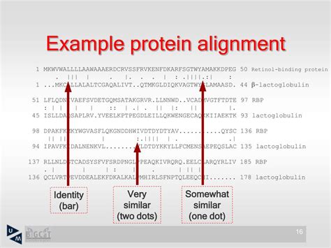 ppt pairwise and multiple sequence alignment powerpoint presentation id 5141821