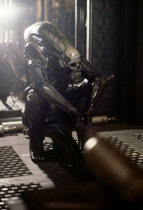 Rare Behind The Scenes Photos From Ridley Scott S ALIEN GeekTyrant